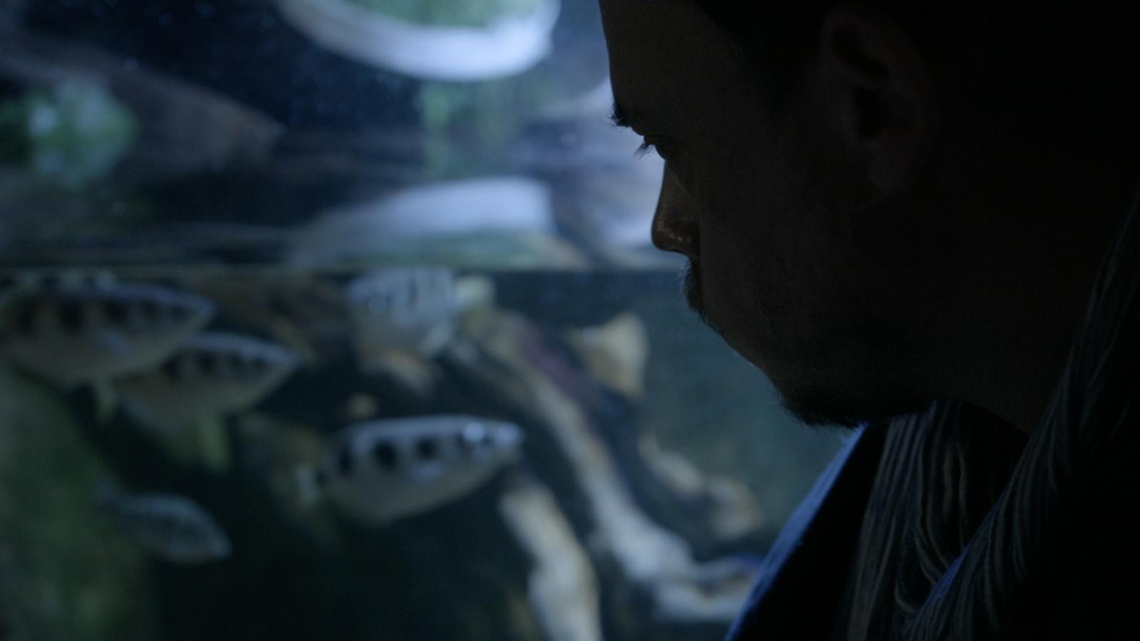 Who Is James Payton? - Hyde Hill